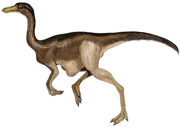Dinosaurios - Gallimimus