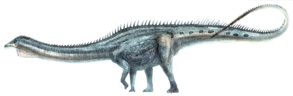 Dinosaurios - Rebbachisaurus