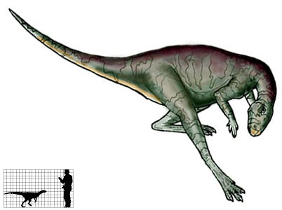 Zephyrosaurus Pictures Facts The Dinosaur Database